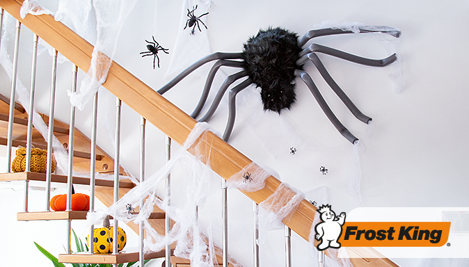 A Creepy-Crawly Spider Craft for Halloween | Frost King® Weatherization ...